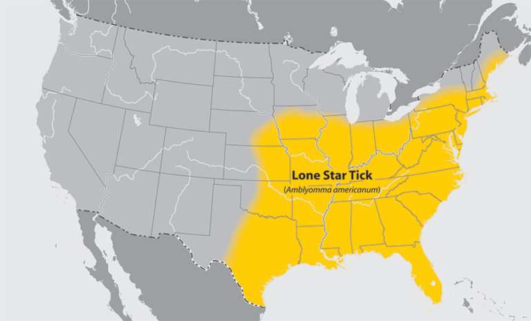 Map courtesy of: https://www.cdc.gov/ticks/geographic_distribution.html