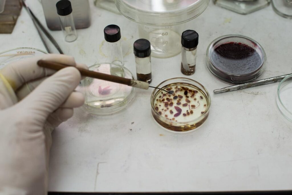 Tick Testing Locations